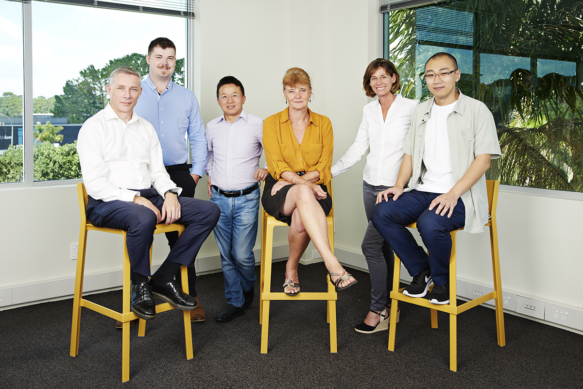 Your Small Business Web Design Team